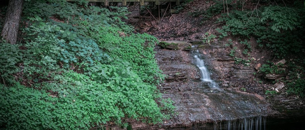 Pikes Peak State Park | Iowa Geological Survey - The University of Iowa