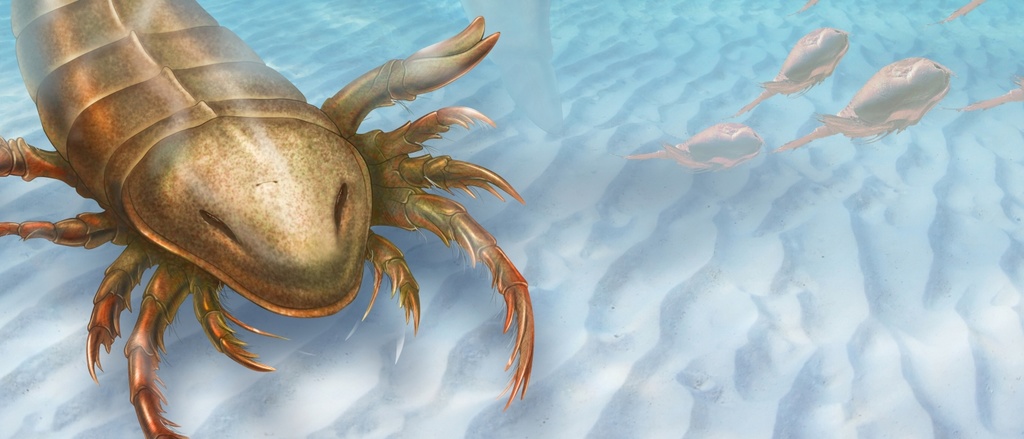 Research | Iowa Geological Survey - The University of Iowa