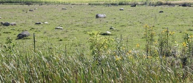 Iowa Geology | Iowa Geological Survey - The University of Iowa