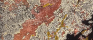 Minerals | Iowa Geological Survey - The University of Iowa