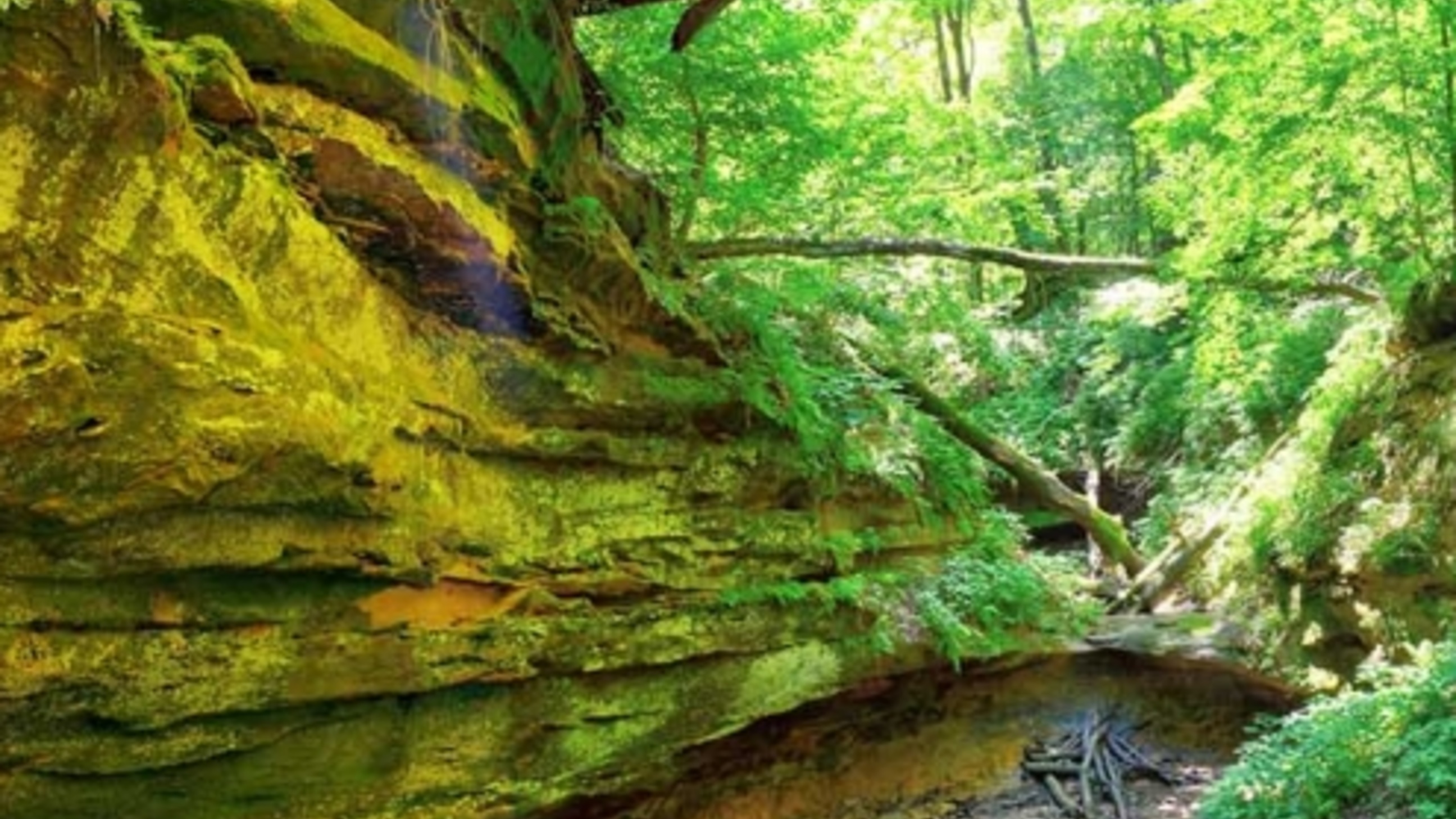 Parks of Iowa | Iowa Geological Survey - The University of Iowa
